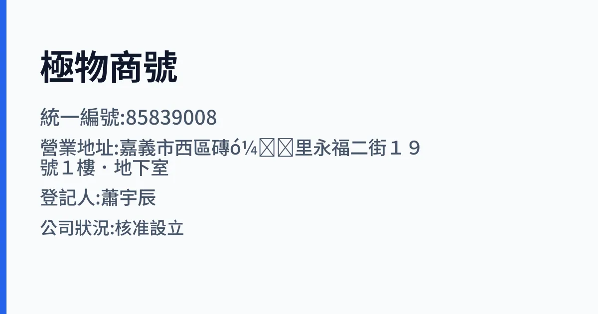 極物商號 - 統編 85839008（嘉義市） 公司登記資料與營業項目詳細圖表