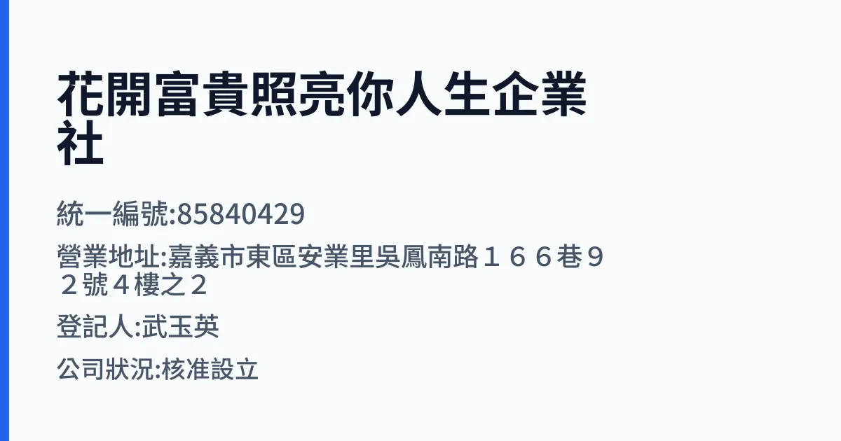 花開富貴照亮你人生企業社 - 統編 85840429(嘉義市) 公司登記資料與營業項目詳細圖表