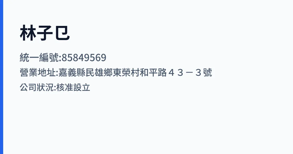 林子㔾 - 統編 85849569(嘉義縣) 公司登記資料與營業項目詳細圖表
