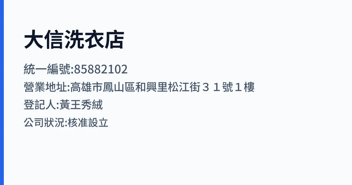 大信洗衣店 - 統編 85882102(高雄市) 公司登記資料與營業項目詳細圖表