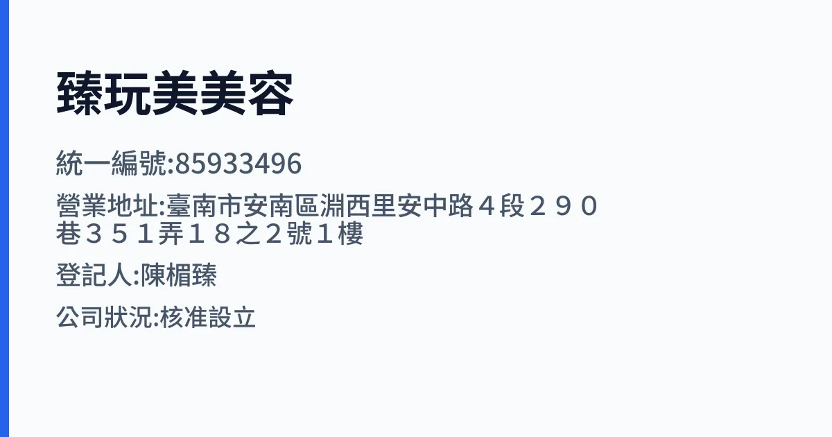 臻玩美美容 - 統編 85933496(臺南市) 公司登記資料與營業項目詳細圖表