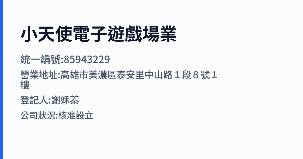 小天使電子遊戲場業 - 統編 85943229(高雄市) 公司登記資料與營業項目詳細圖表
