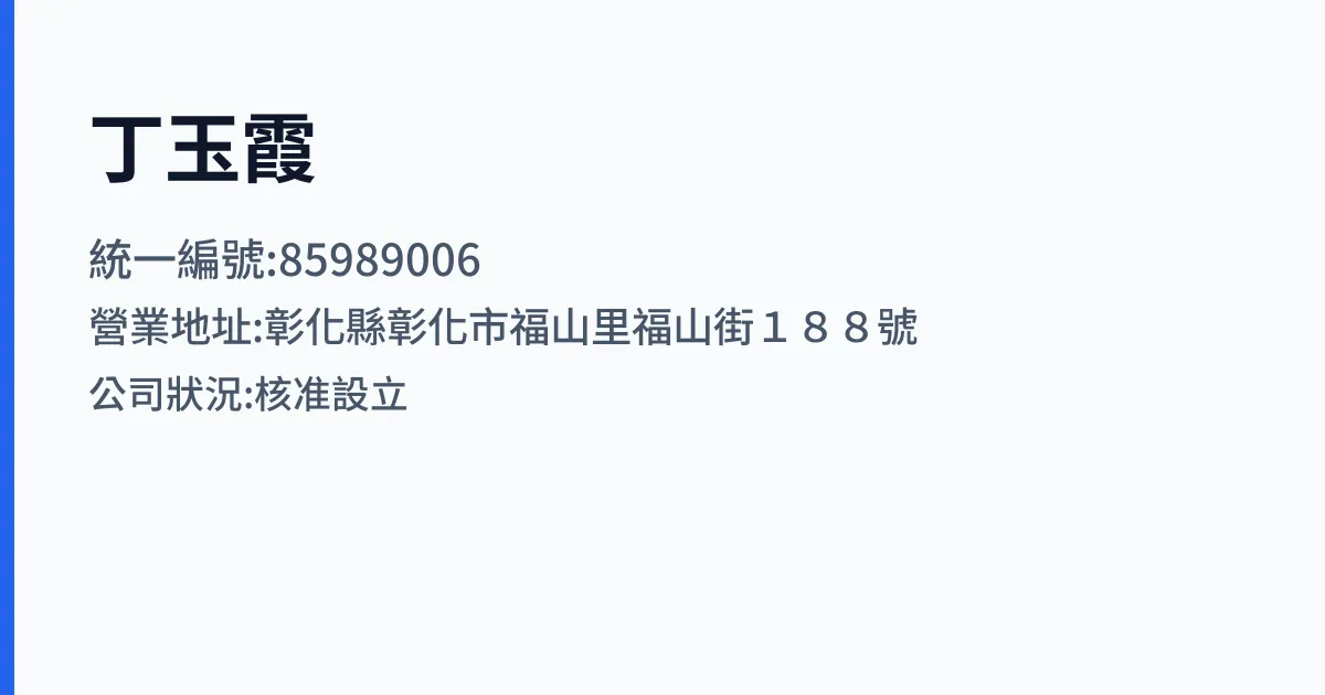 丁玉霞 - 統編 85989006(彰化縣) 公司登記資料與營業項目詳細圖表