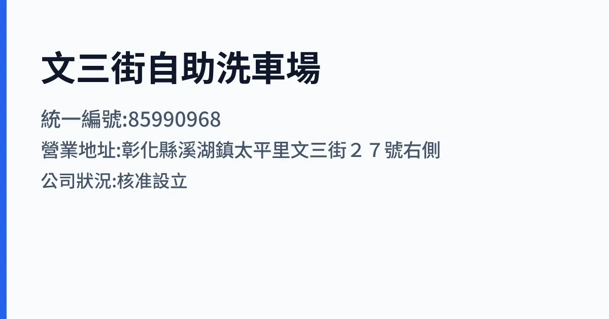 文三街自助洗車場 - 統編 85990968(彰化縣) 公司登記資料與營業項目詳細圖表