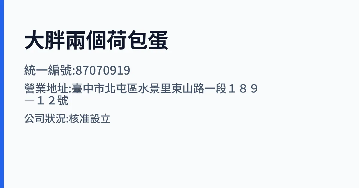 大胖兩個荷包蛋 - 統編 87070919(臺中市) 公司登記資料與營業項目詳細圖表