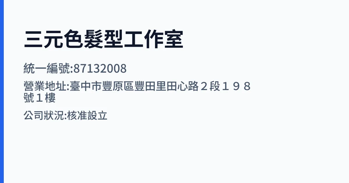 三元色髮型工作室 - 統編 87132008(臺中市) 公司登記資料與營業項目詳細圖表