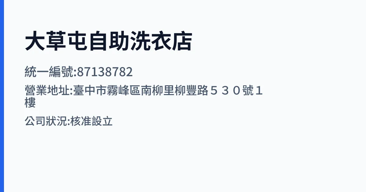 大草屯自助洗衣店 - 統編 87138782(臺中市) 公司登記資料與營業項目詳細圖表