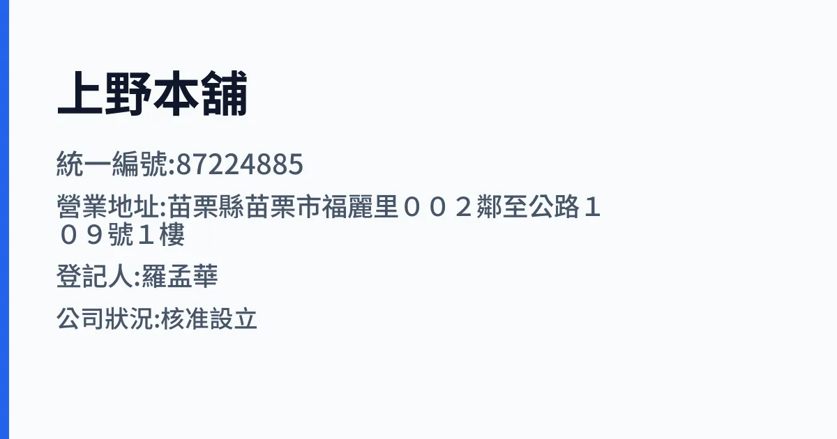 上野本舖 - 統編 87224885(苗栗縣) 公司登記資料與營業項目詳細圖表