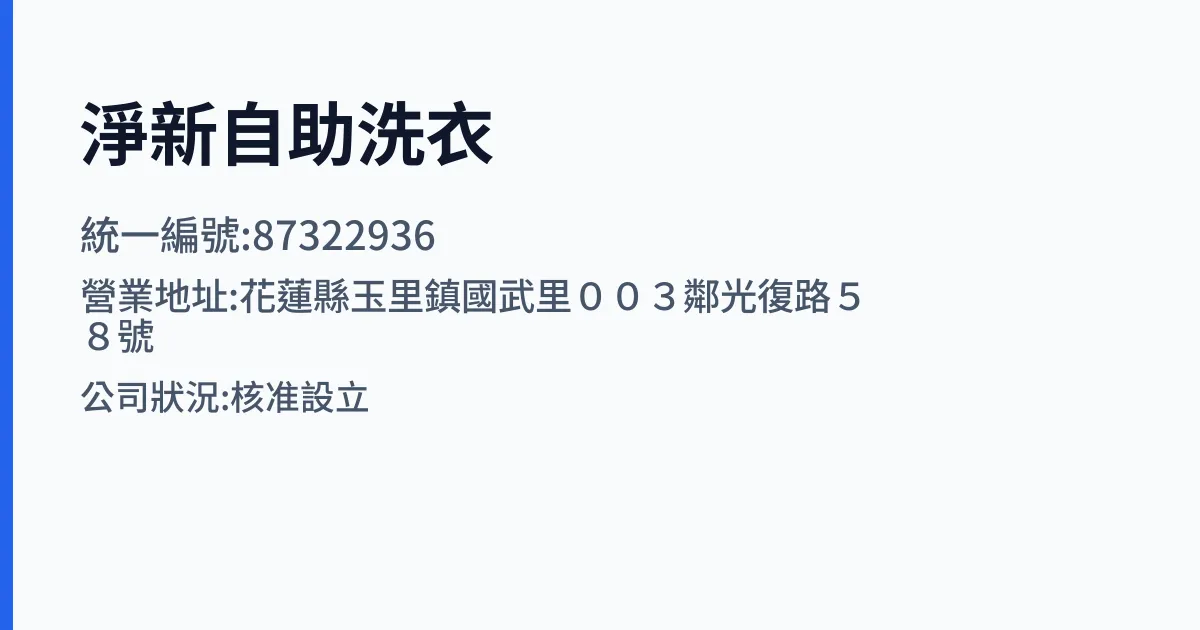 淨新自助洗衣 - 統編 87322936（花蓮縣） 公司登記資料與營業項目詳細圖表