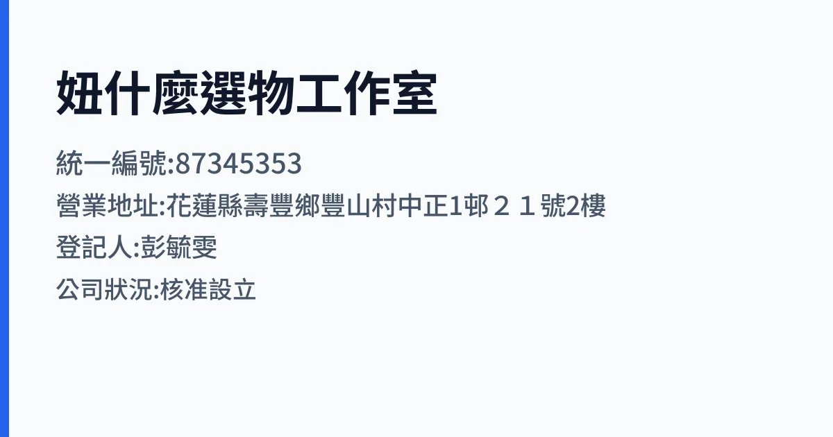 妞什麼選物工作室 - 統編 87345353(花蓮縣) 公司登記資料與營業項目詳細圖表