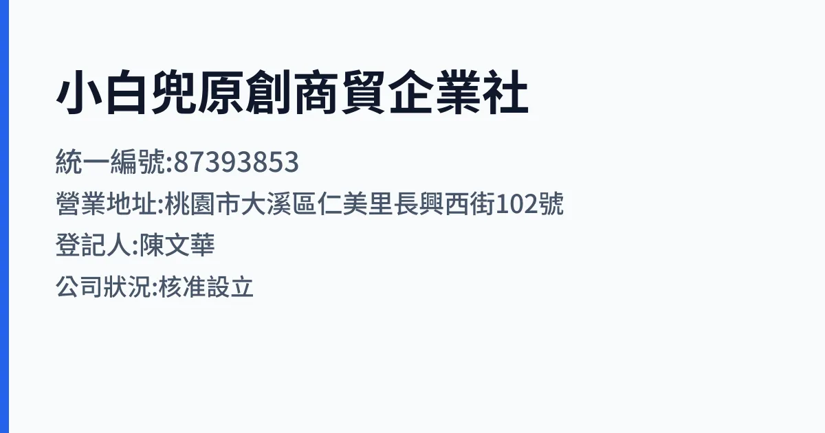 小白兜原創商貿企業社 - 統編 87393853(桃園市) 公司登記資料與營業項目詳細圖表
