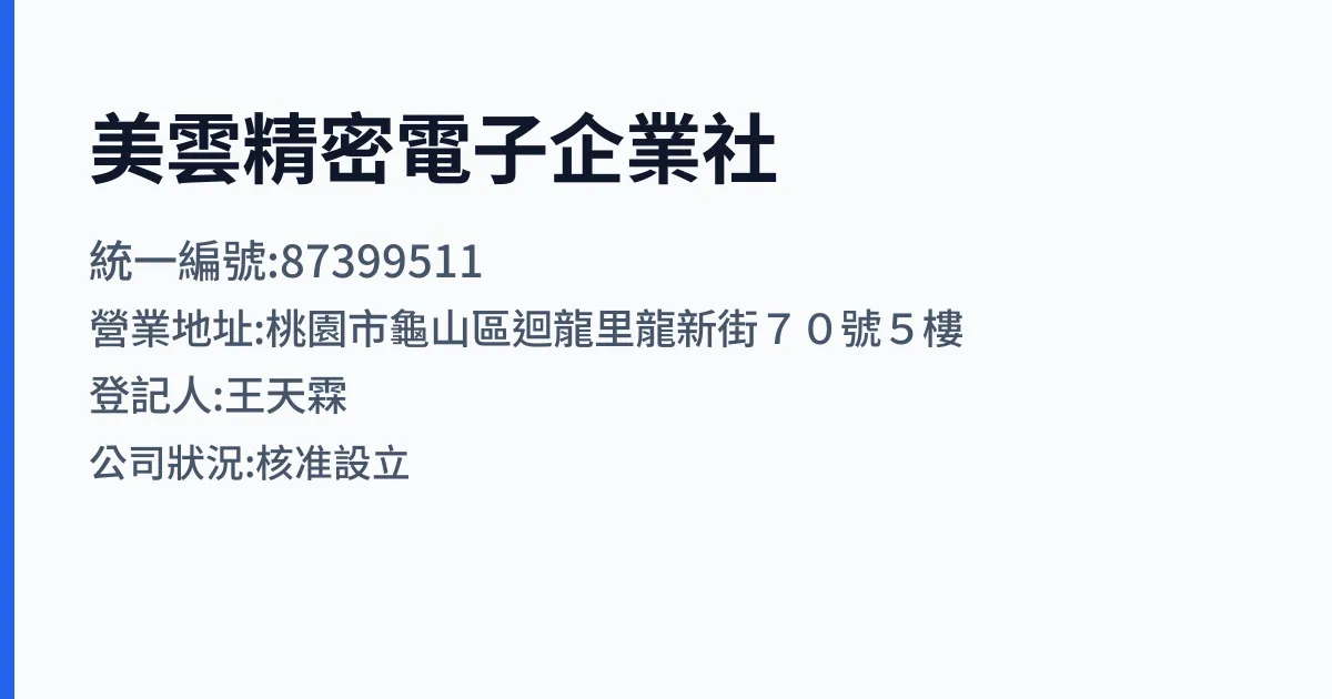 美雲精密電子企業社 - 統編 87399511(桃園市) 公司登記資料與營業項目詳細圖表