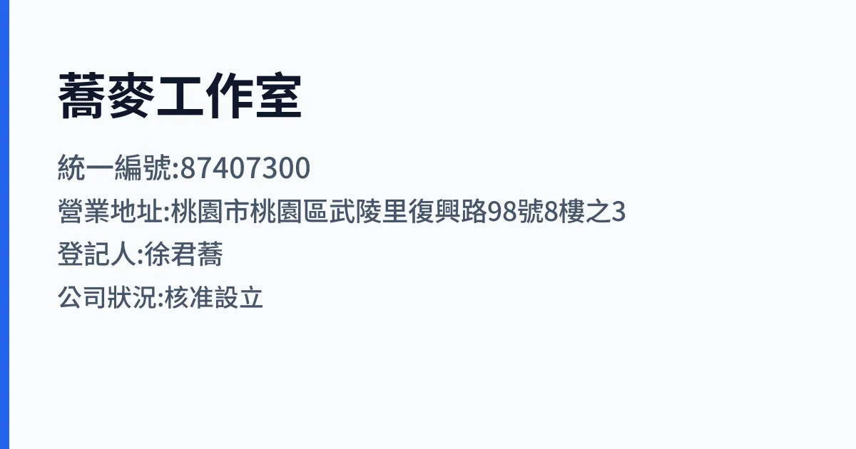 蕎麥工作室 - 統編 87407300(桃園市) 公司登記資料與營業項目詳細圖表