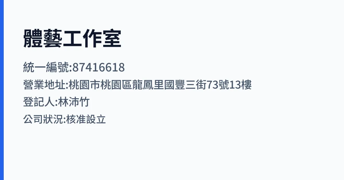 體藝工作室 - 統編 87416618(桃園市) 公司登記資料與營業項目詳細圖表