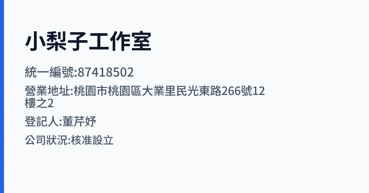 小梨子工作室 - 統編 87418502(桃園市) 公司登記資料與營業項目詳細圖表