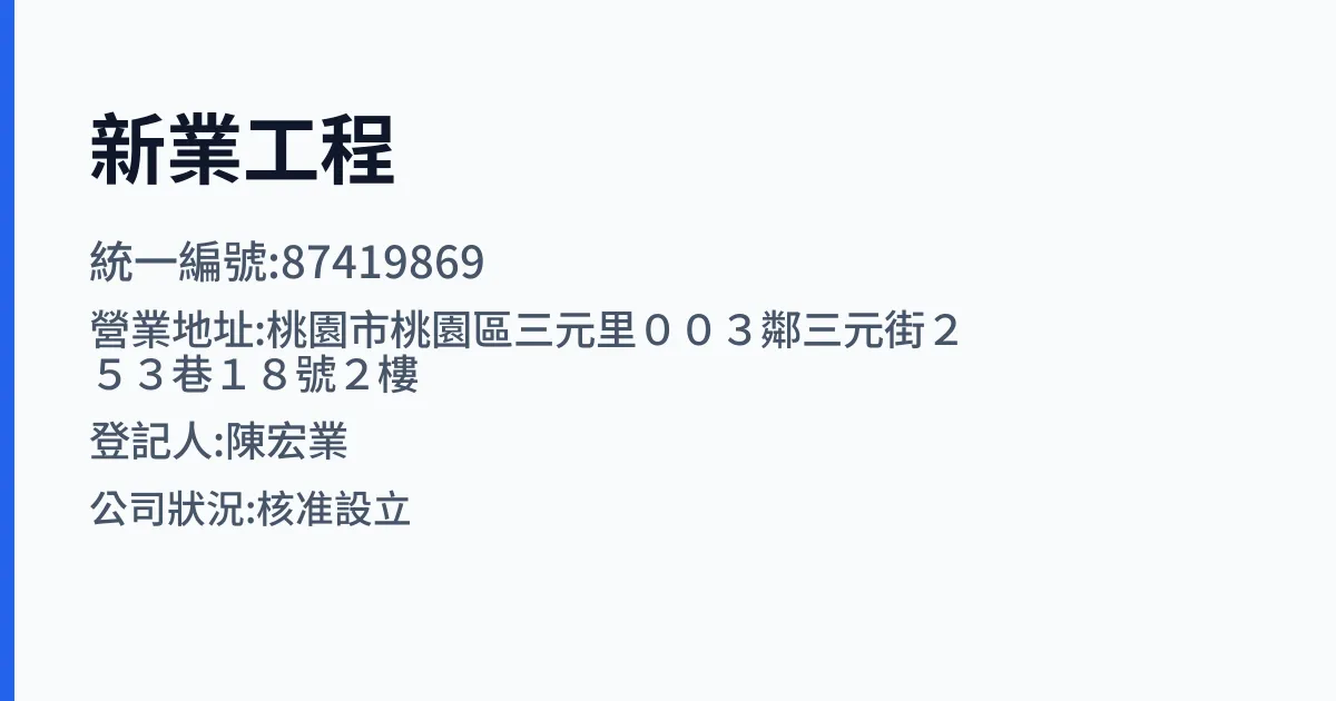 新業工程 - 統編 87419869(桃園市) 公司登記資料與營業項目詳細圖表