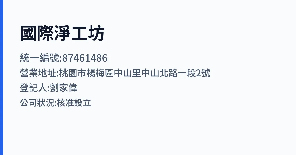 國際淨工坊 - 統編 87461486(桃園市) 公司登記資料與營業項目詳細圖表