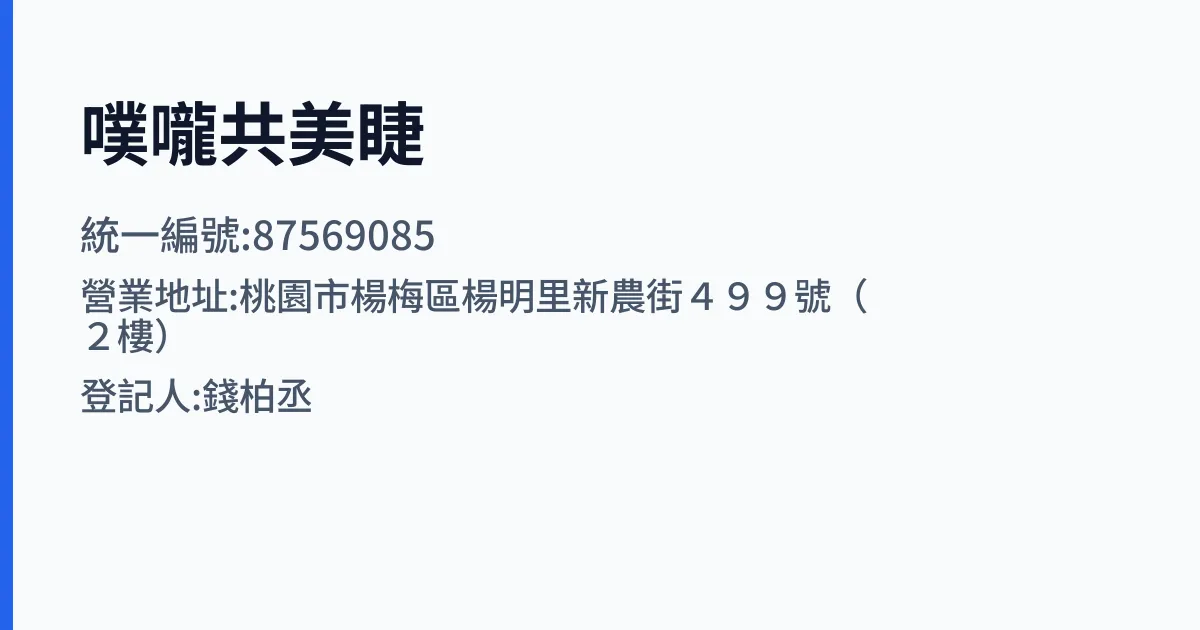 噗嚨共美睫 - 統編 87569085(桃園市) 公司登記資料與營業項目詳細圖表