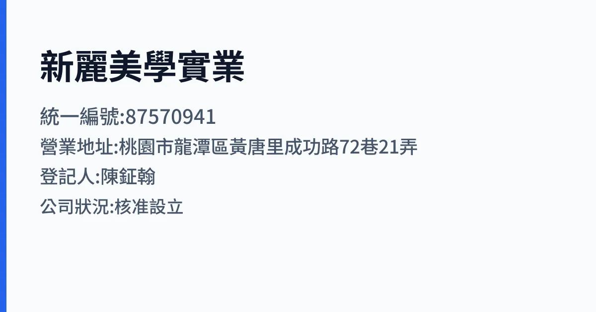 新麗美學實業 - 統編 87570941(桃園市) 公司登記資料與營業項目詳細圖表