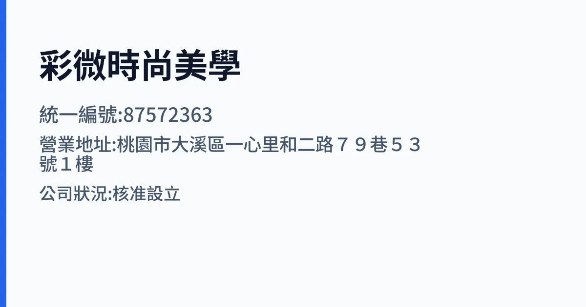 彩微時尚美學 - 統編 87572363(桃園市) 公司登記資料與營業項目詳細圖表