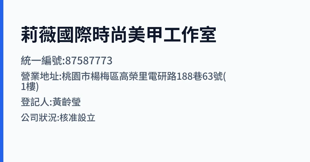 莉薇國際時尚美甲工作室 - 統編 87587773(桃園市) 公司登記資料與營業項目詳細圖表