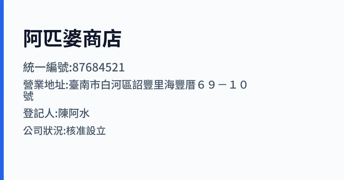 阿匹婆商店 - 統編 87684521(臺南市) 公司登記資料與營業項目詳細圖表