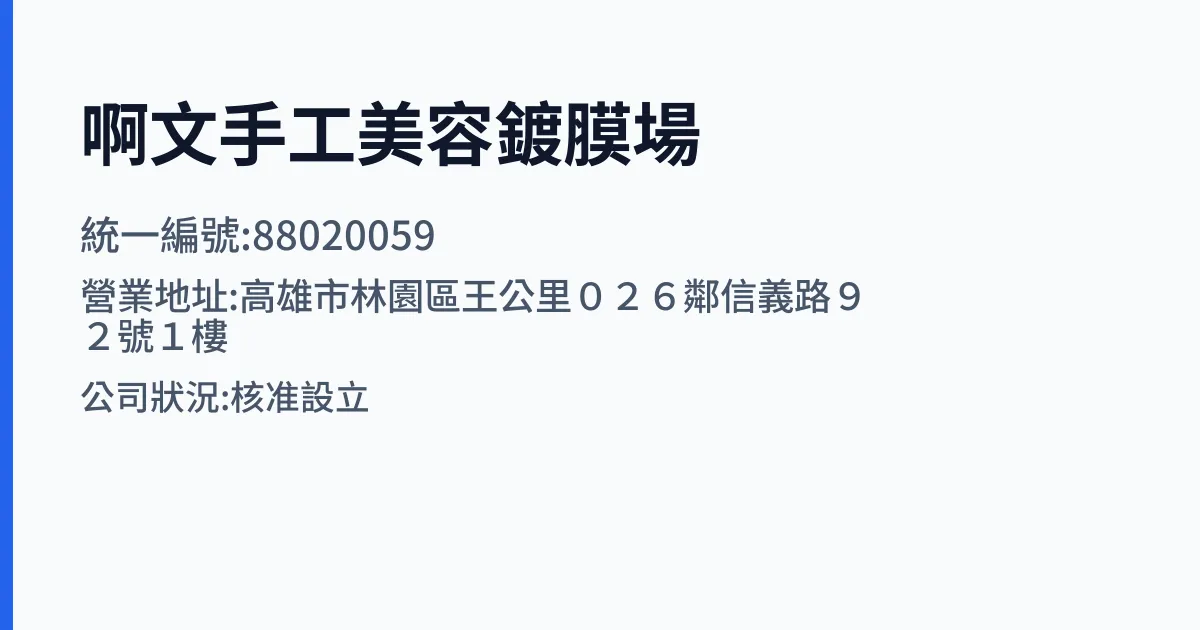 啊文手工美容鍍膜場 - 統編 88020059（高雄市） 公司登記資料與營業項目詳細圖表