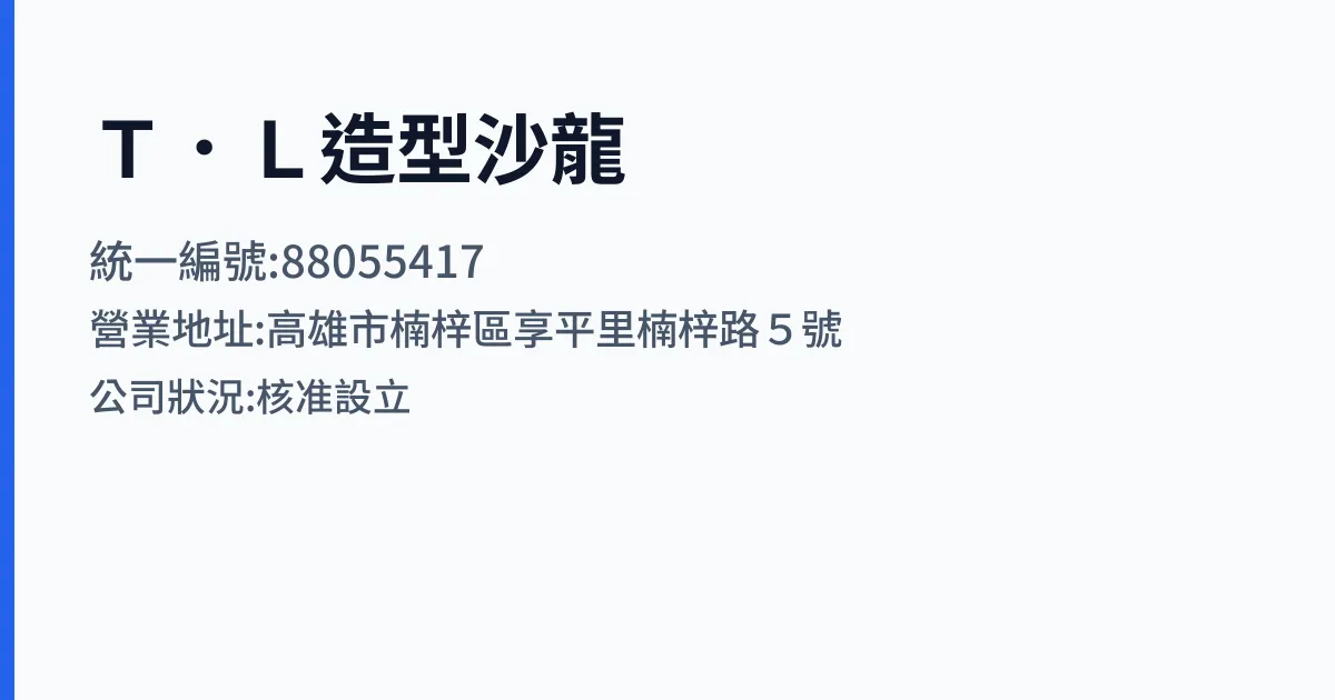 Ｔ．Ｌ造型沙龍 - 統編 88055417（高雄市） 公司登記資料與營業項目詳細圖表