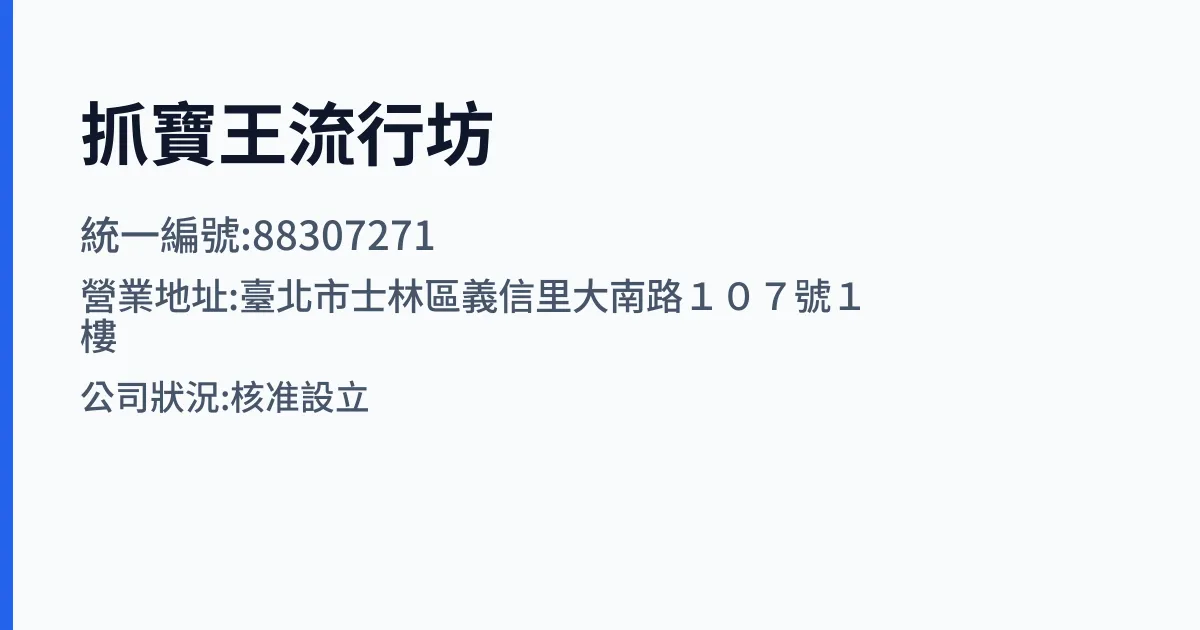 抓寶王流行坊 - 統編 88307271(臺北市) 公司登記資料與營業項目詳細圖表