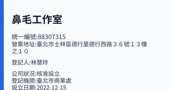 鼻毛工作室的照片-統編 88307315(臺北市) 公司登記資料與營業項目詳細圖表