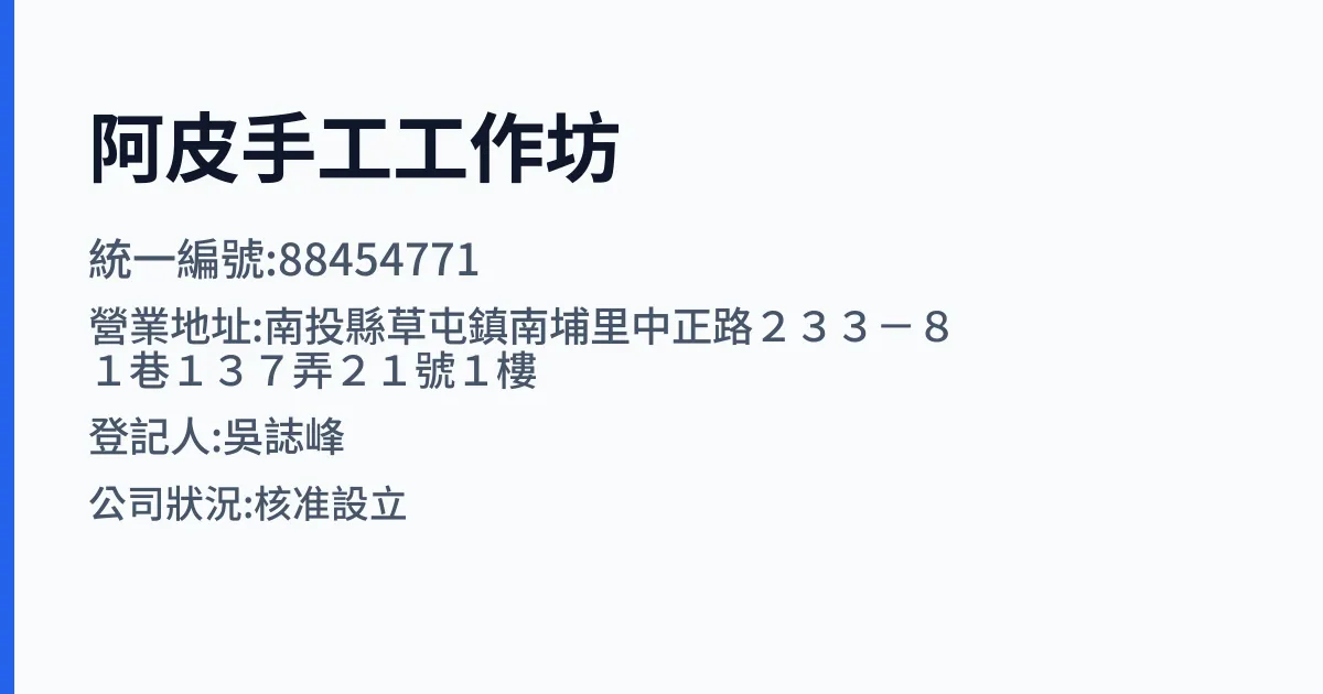 阿皮手工工作坊 - 統編 88454771(南投縣) 公司登記資料與營業項目詳細圖表