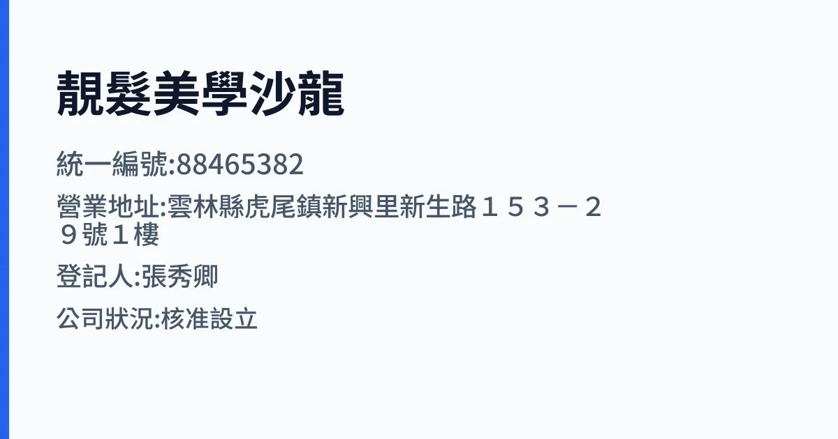 靚髮美學沙龍 - 統編 88465382(雲林縣) 公司登記資料與營業項目詳細圖表