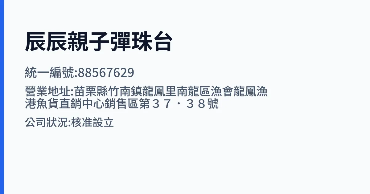 辰辰親子彈珠台 - 統編 88567629(苗栗縣) 公司登記資料與營業項目詳細圖表