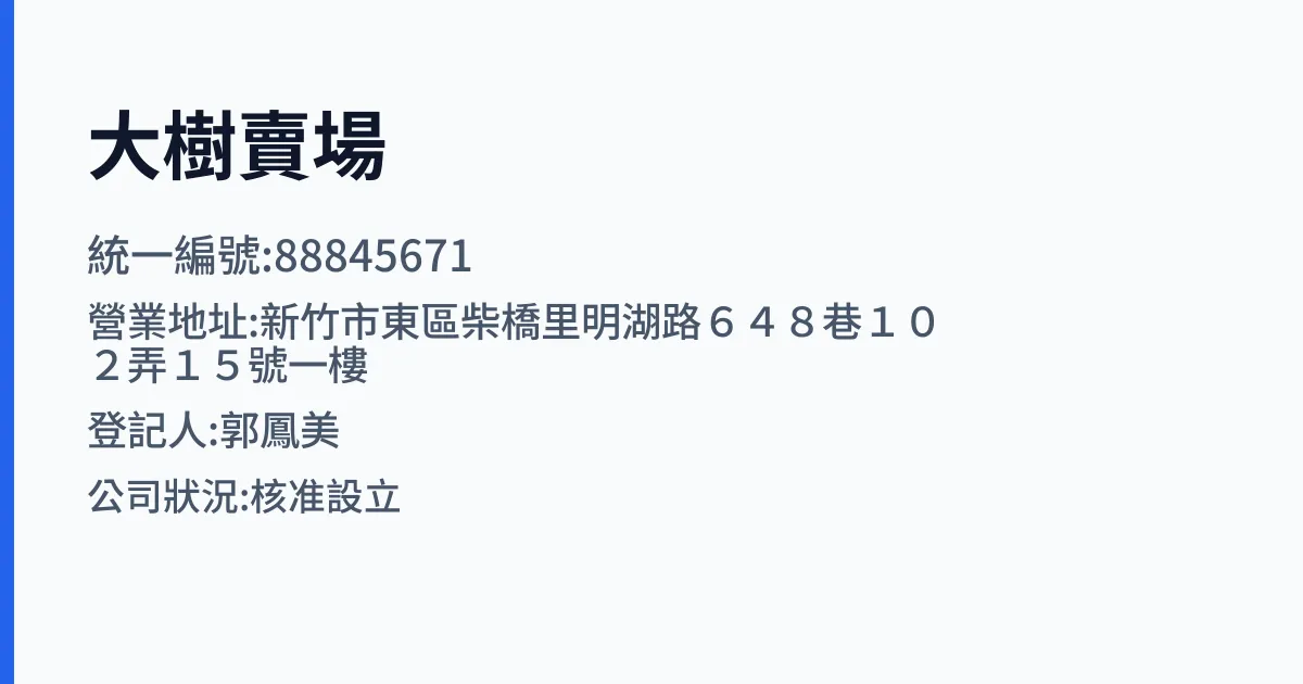 大樹賣場 - 統編 88845671(新竹市) 公司登記資料與營業項目詳細圖表