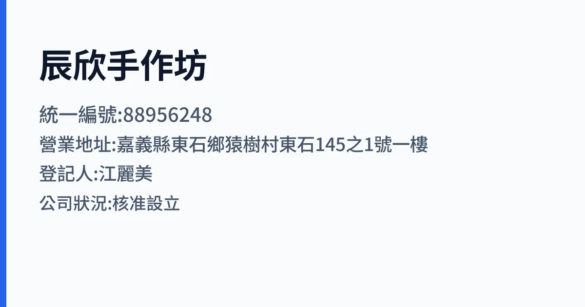 辰欣手作坊 - 統編 88956248(嘉義縣) 公司登記資料與營業項目詳細圖表