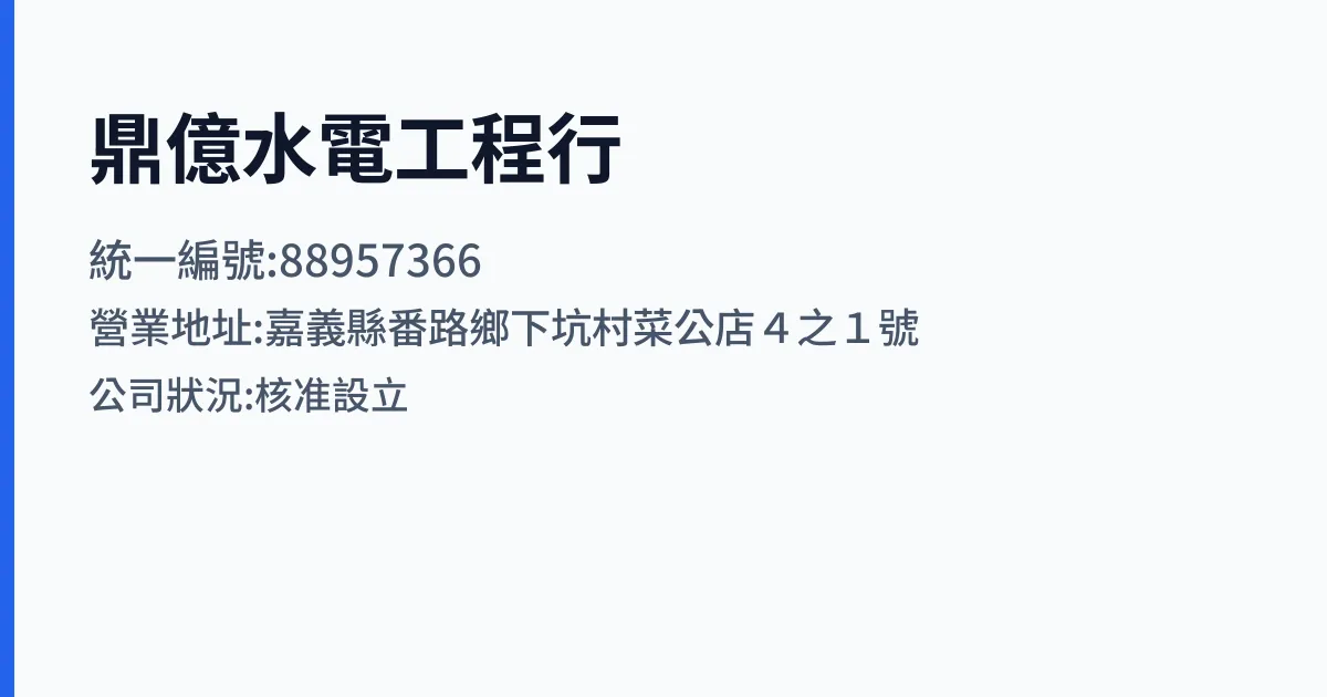 鼎億水電工程行 - 統編 88957366（嘉義縣） 公司登記資料與營業項目詳細圖表