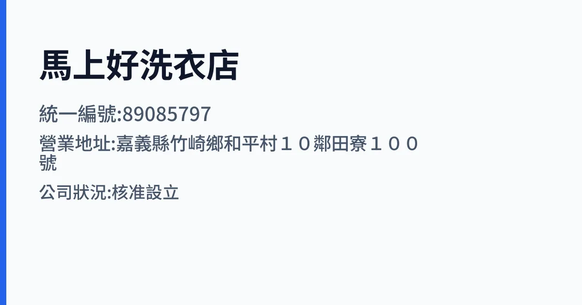 馬上好洗衣店 - 統編 89085797(嘉義縣) 公司登記資料與營業項目詳細圖表
