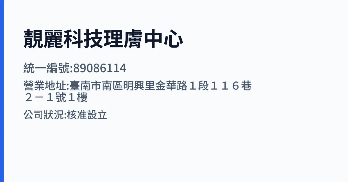 靚麗科技理膚中心 - 統編 89086114(臺南市) 公司登記資料與營業項目詳細圖表