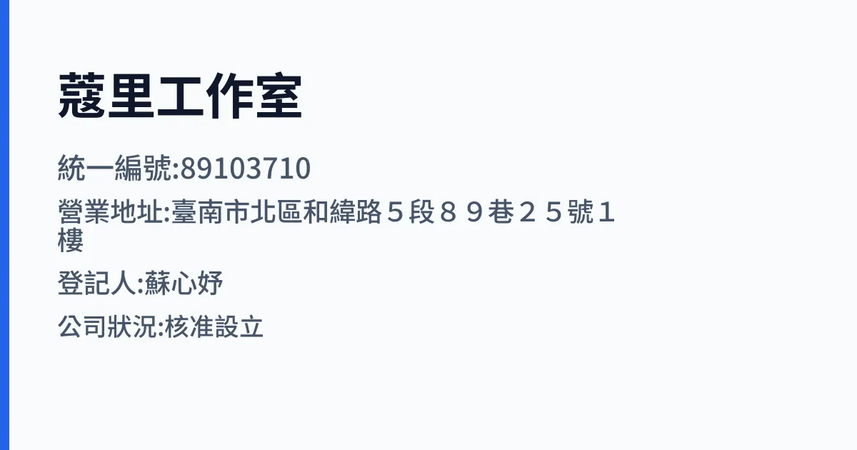 蔻里工作室 - 統編 89103710(臺南市) 公司登記資料與營業項目詳細圖表