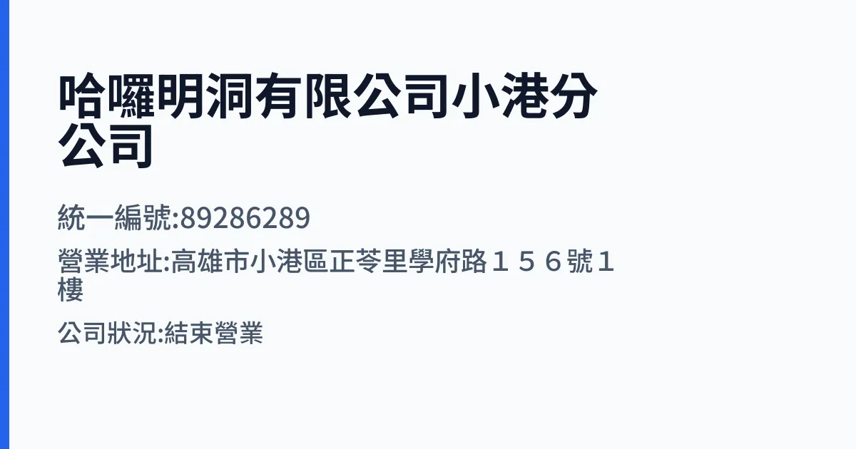 哈囉明洞有限公司小港分公司 - 統編 89286289（高雄市） 公司登記資料與營業項目詳細圖表