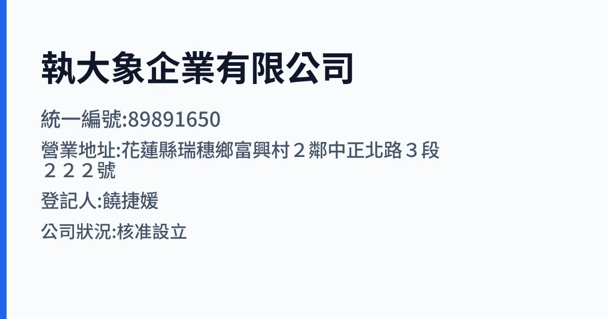 執大象企業有限公司 - 統編 89891650(花蓮縣) 公司登記資料與營業項目詳細圖表