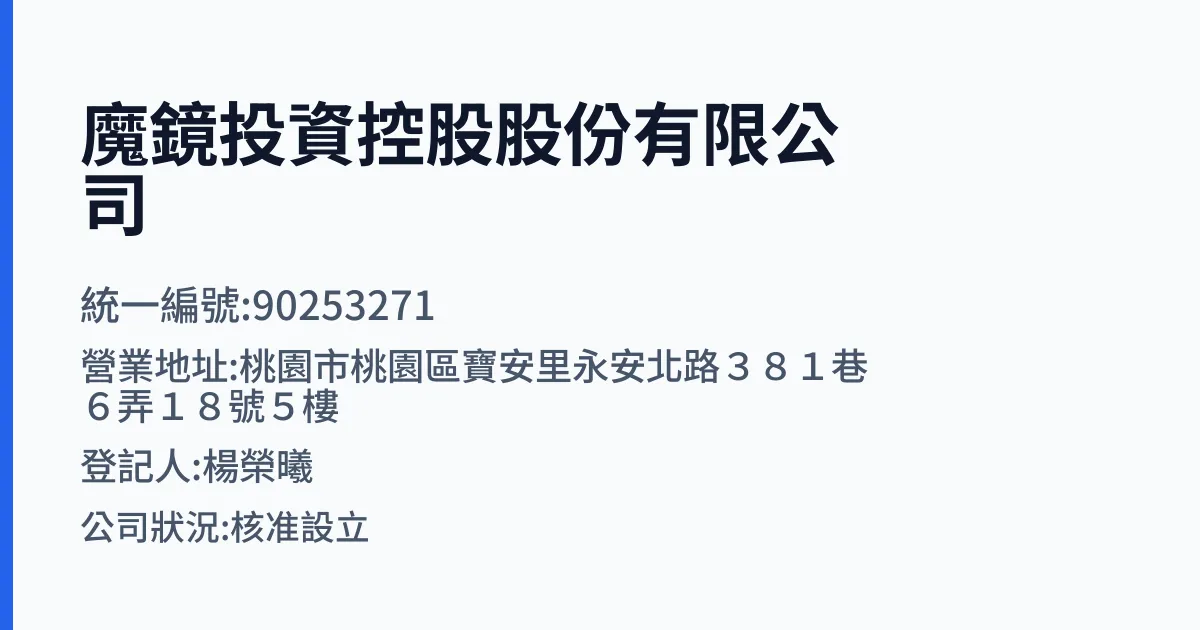 魔鏡投資控股股份有限公司 - 統編 90253271(桃園市) 公司登記資料與營業項目詳細圖表