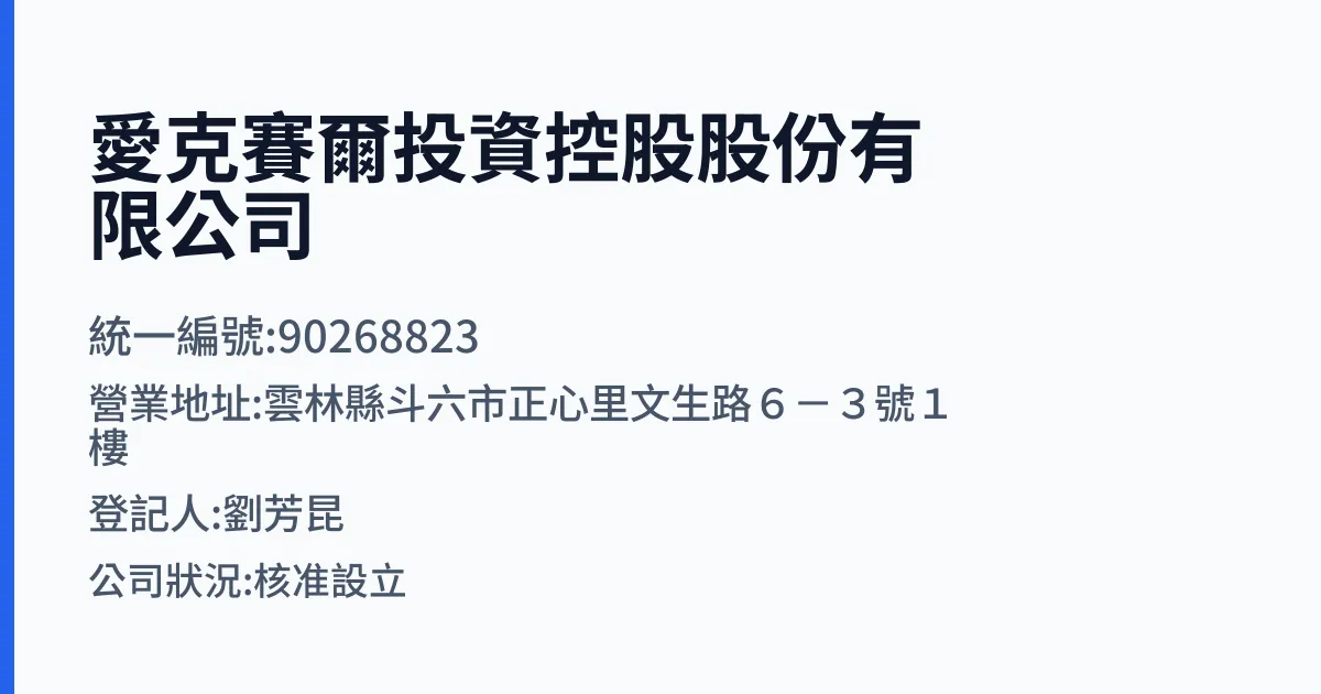 愛克賽爾投資控股股份有限公司 - 統編 90268823(雲林縣) 公司登記資料與營業項目詳細圖表