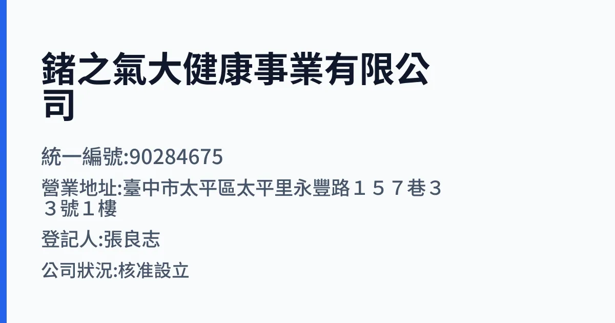 鍺之氣大健康事業有限公司 - 統編 90284675(臺中市) 公司登記資料與營業項目詳細圖表