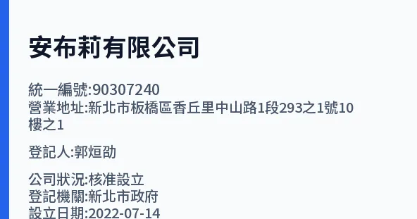 安布莉有限公司的照片-統編 90307240(新北市) 公司登記資料與營業項目詳細圖表