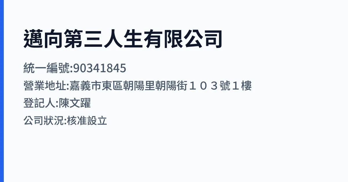 邁向第三人生有限公司 - 統編 90341845(嘉義市) 公司登記資料與營業項目詳細圖表