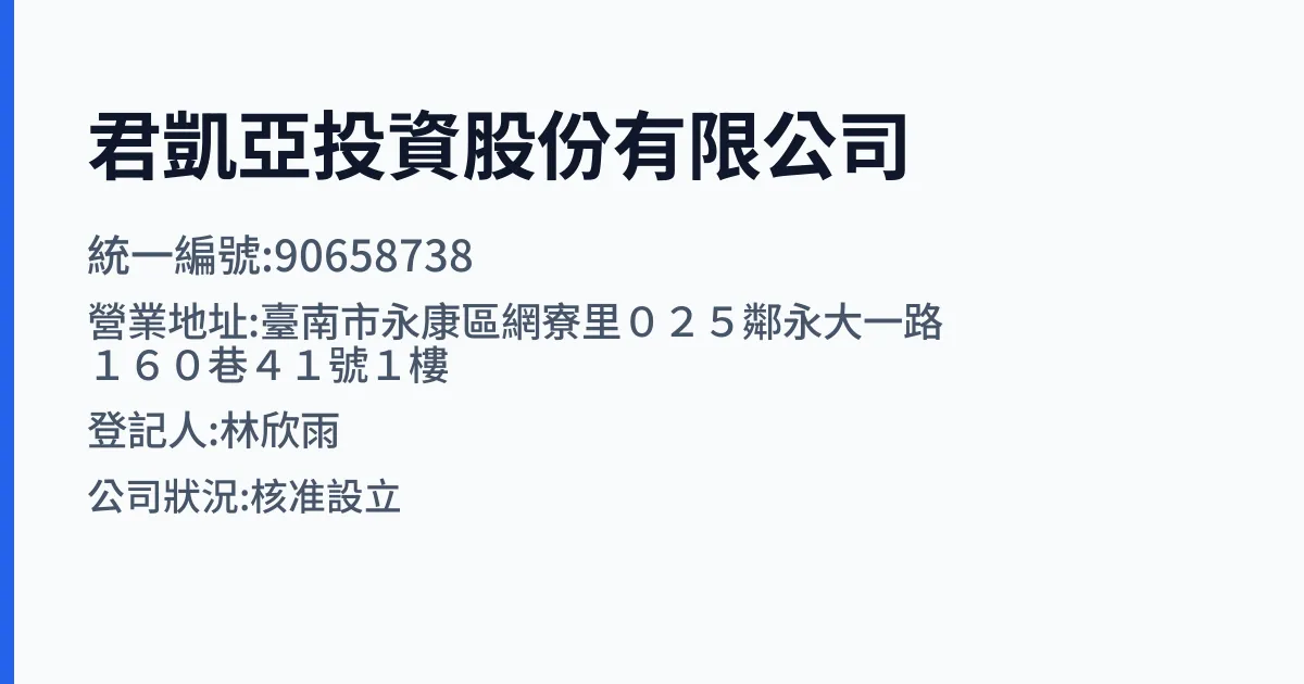 君凱亞投資股份有限公司 - 統編 90658738(臺南市) 公司登記資料與營業項目詳細圖表