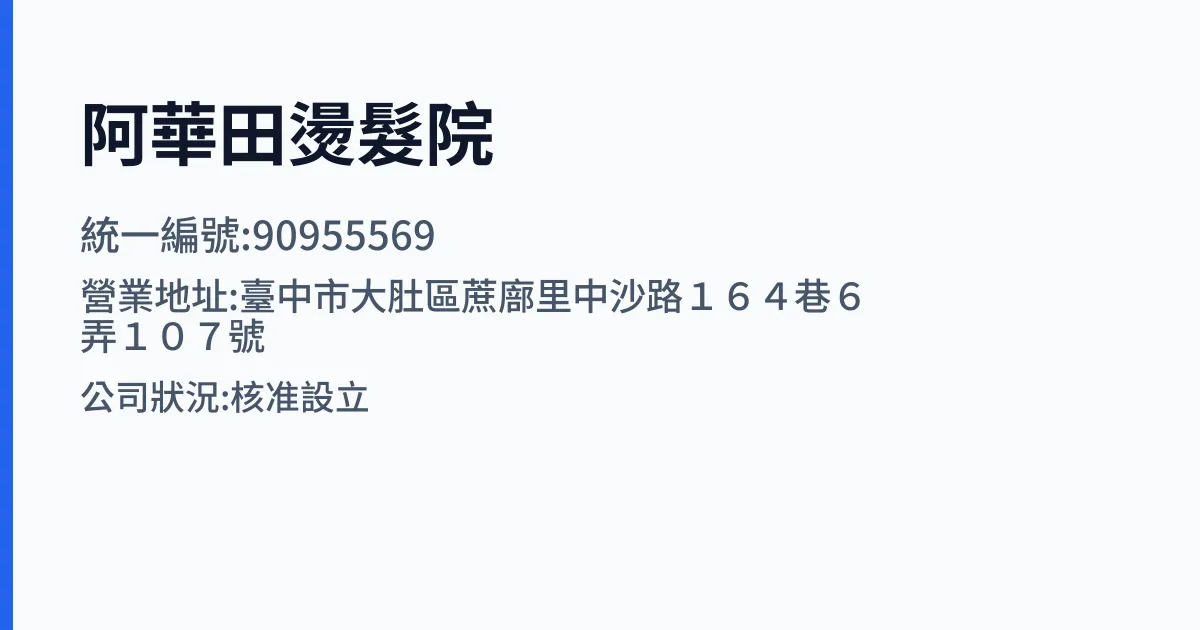 阿華田燙髮院 - 統編 90955569(臺中市) 公司登記資料與營業項目詳細圖表