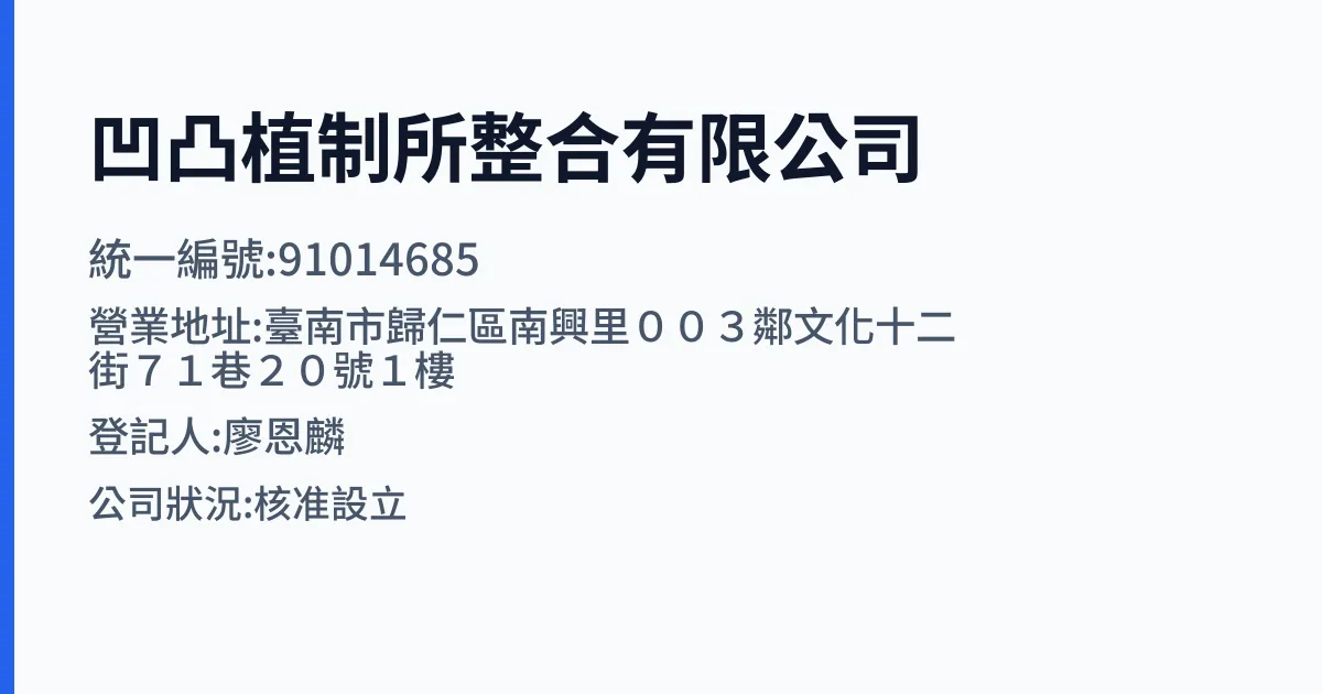 凹凸植制所整合有限公司 - 統編 91014685(臺南市) 公司登記資料與營業項目詳細圖表