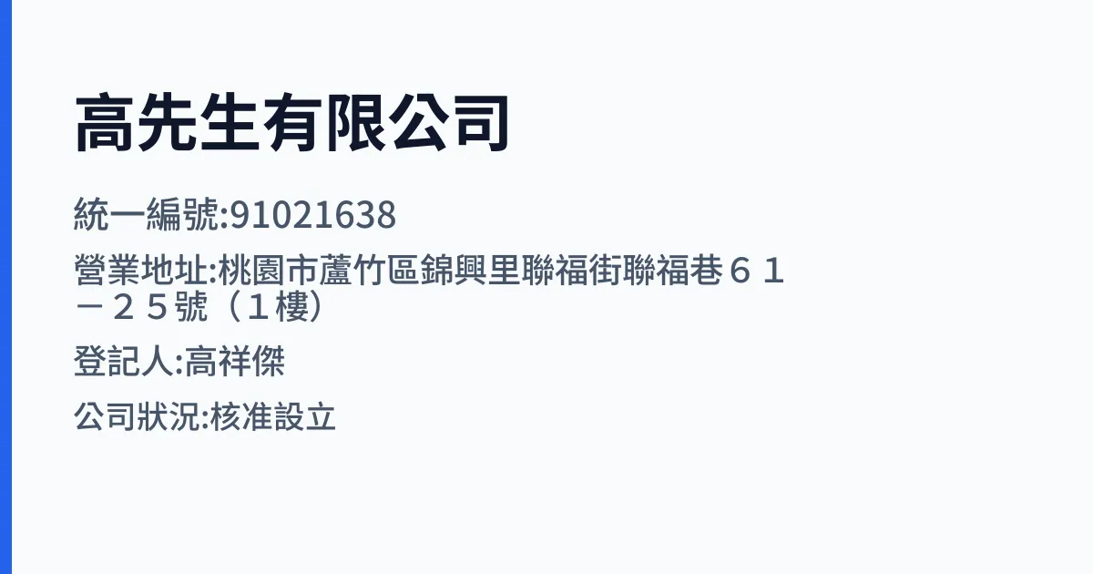 高先生有限公司 - 統編 91021638(桃園市) 公司登記資料與營業項目詳細圖表